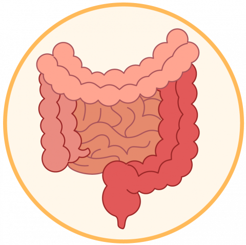 Classifications | IBD-EII