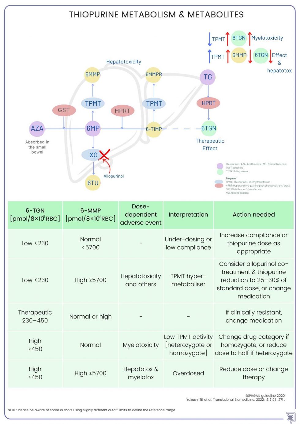 IBD cheat sheet | IBD-EII